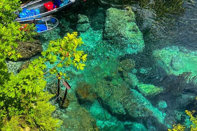 Clear Kayaking Eco Adventure Tour in Marianna - Who Would Love This Tour?