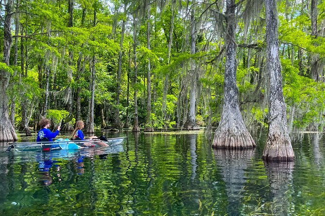 Clear Kayaking Eco Adventure Tour in Marianna - FAQs
