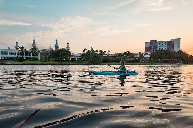 Clear Kayaking Glow Tour in Tampa Riverwalk - What You Can Expect on the Tour