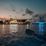 Clear Kayaking Glow Tour in Tampa Riverwalk - Practical Tips for Your Tampa Glow Kayaking Experience