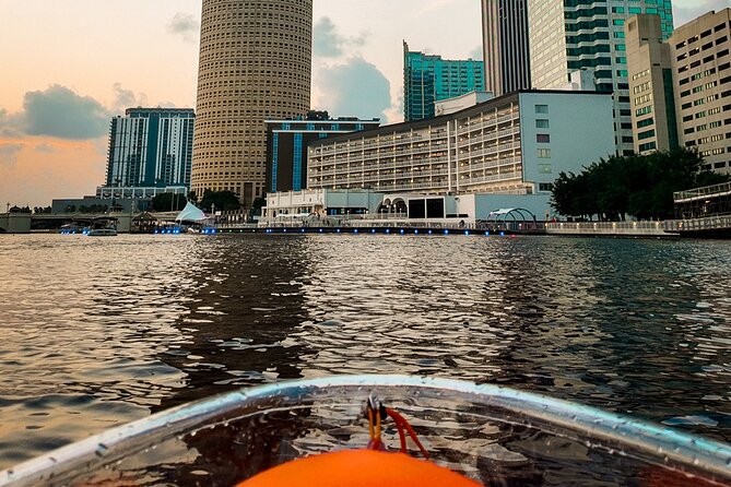 Clear Kayaking Glow Tour in Tampa Riverwalk - Who Should Consider This Tour?