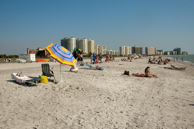 Clearwater Beach Bus Express - What Travelers Are Saying: Authentic Insights  