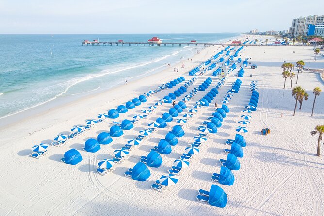 Clearwater Beach Bus Express - Transportation, Timing, and Group Dynamics  