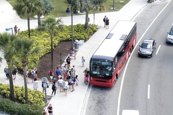 Clearwater Beach Bus Express - Who is This Tour Perfect For?  