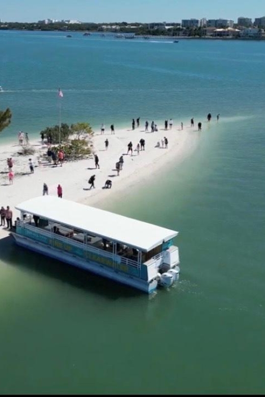 Clearwater Beach: Dolphin & Island Sandbar Cruise - An Honest Look at the Clearwater Dolphin & Sandbar Cruise