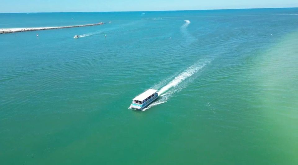 Clearwater Beach: Dolphin & Island Sandbar Cruise - Authentic Experiences and Guest Feedback