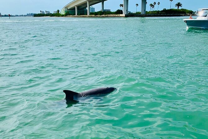Clearwater Beach Private Pontoon Boat Tour for six - Whats Included & What to Consider