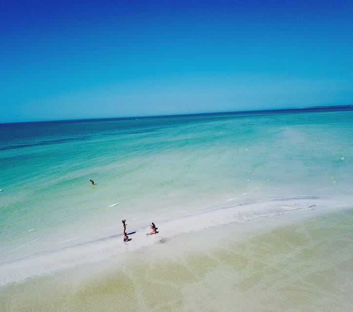 Clearwater Beach: Private Pontoon Tours - Who Will Love This Experience?