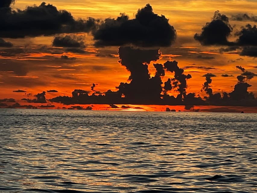 Clearwater Beach: Sunset and Harbor Lights Cruise - Final Thoughts