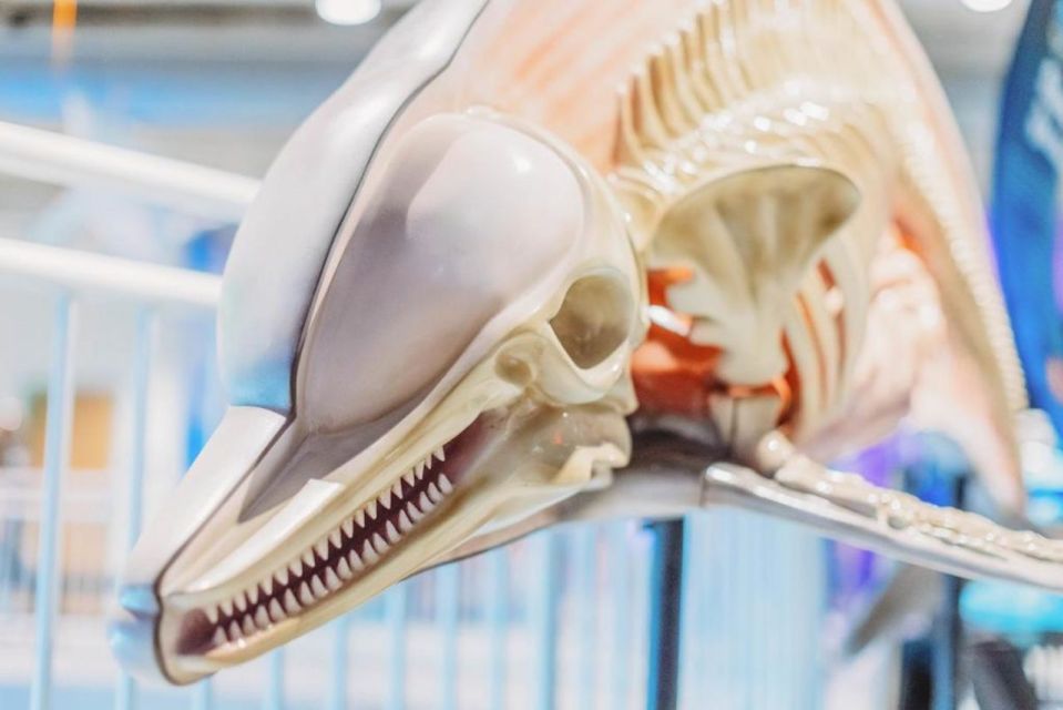 Clearwater: Eco-Certified Marine Aquarium General Admission - What is the Clearwater Marine Aquarium?