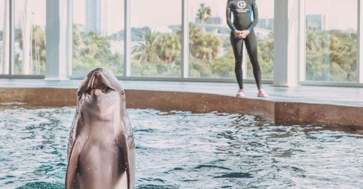 Clearwater: Eco-Certified Marine Aquarium General Admission - Additional Experiences and Tours