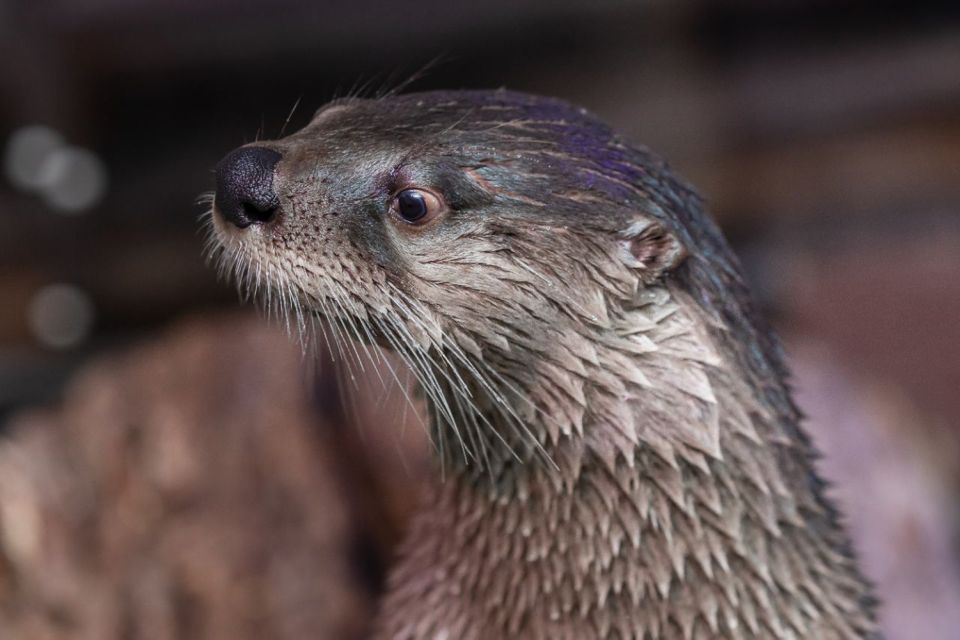 Clearwater: Eco-Certified Marine Aquarium General Admission - How the Visit Adds Value