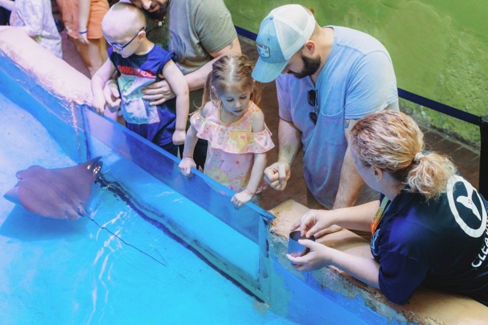 Clearwater: Eco-Certified Marine Aquarium General Admission - What Makes Clearwater Marine Aquarium Special?