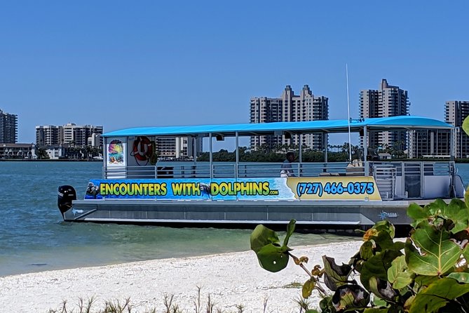 Clearwater Encounters with Dolphins Tour - Practical Details That Matter