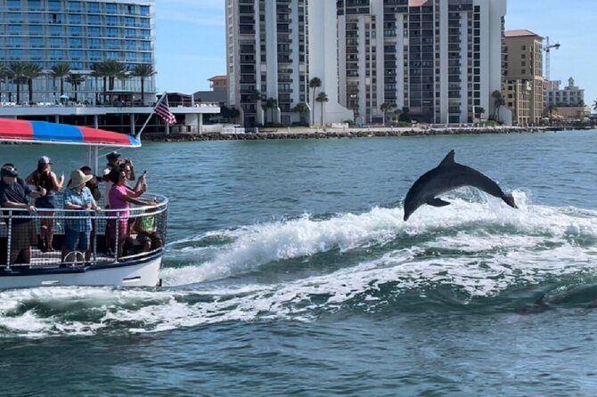 Clearwater Encounters with Dolphins Tour - Final Thoughts
