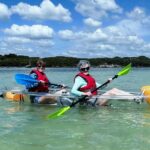 Clearwater: Guided Clear Kayaking Tour - Who Is This Tour Best For?
