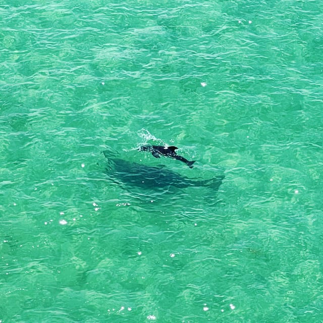 Clearwater: Guided Clear Kayaking Tour - Discovering Clearwaters Waterways in Style