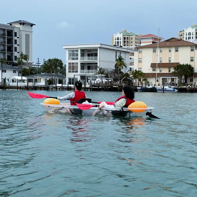 Clearwater: Guided Clear Kayaking Tour - Authentic Experiences and Real-World Insights