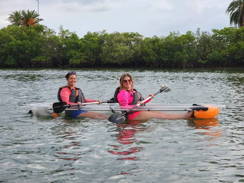 Clearwater: Guided Clear Kayaking Tour - Who Will Love This Tour?