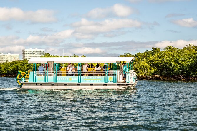 Clearwater Island Hop and Dolphin Watch with Swimming - The Itinerary in Detail
