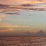 Clearwater: Sunset Celebration Cruise - Practical Tips for Travelers