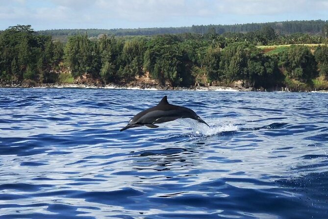 Cliff's of Hawai'i Onomea Waterfall Cruise - The Sum Up