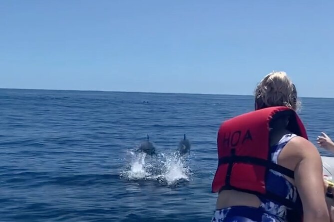 Cliff's of Hawai'i Onomea Waterfall Cruise - FAQs