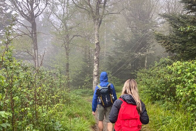 Clingmans Dome Hike - An In-Depth Look at the Clingmans Dome Hike