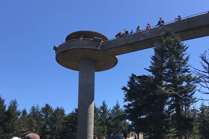Clingmans Dome Hike - Who Will Love This Tour?
