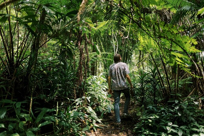 Cloud Forest Sanctuary Jungle Tour - A Deep Dive into the Kona Cloud Forest Sanctuary Jungle Tour
