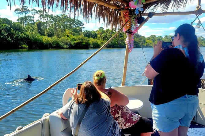Cocoa Beach 2 Hour Dolphin Sightseeing tour- public - Key Points