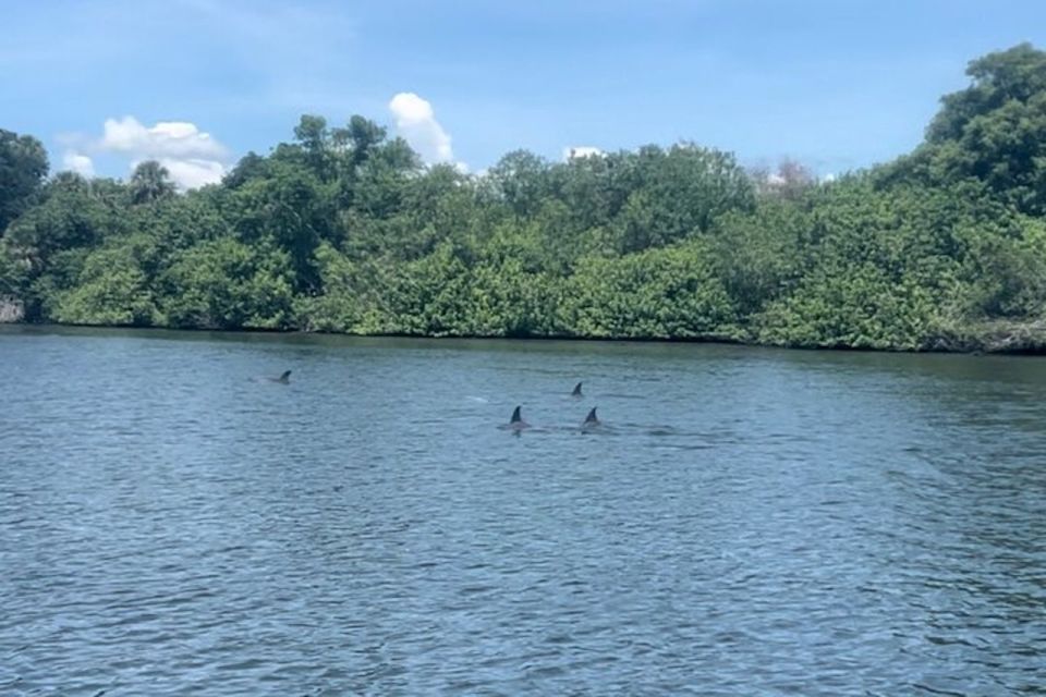 Cocoa Beach: Dolphin and Manatee Kayak or Paddle Tour - Key Points