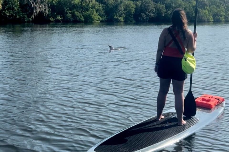 Cocoa Beach: Dolphin and Manatee Kayak or Paddle Tour - Who will love this tour?
