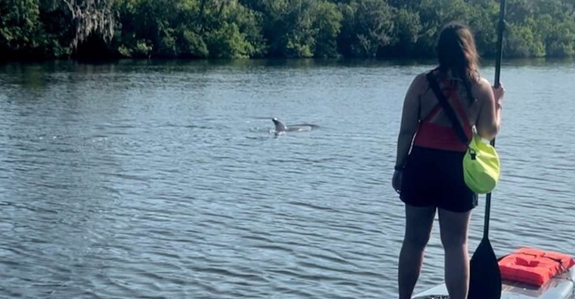 Cocoa Beach: Dolphin and Manatee Kayak or Paddle Tour - Final thoughts