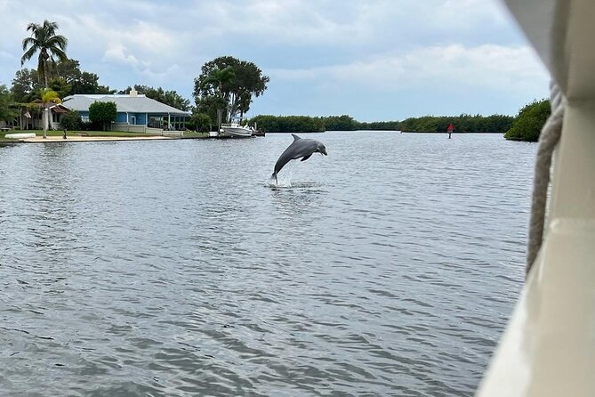 Cocoa Beach Dolphin Tours on the Banana River - FAQ