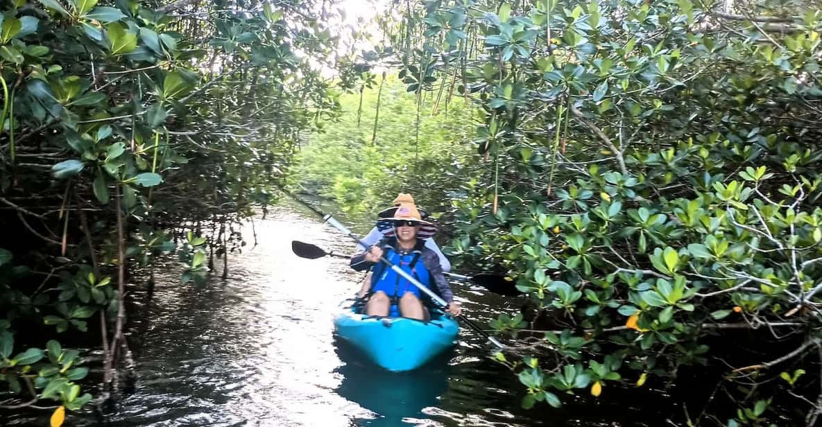 Cocoa Beach/Merritt Island: Guided Dolphin and Manatee Tour - An In-Depth Look at the Tour Experience
