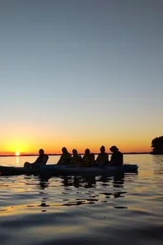 Cocoa Beach/Merritt Island: Guided Dolphin and Manatee Tour - The Authentic Experience: What Tourists Are Saying