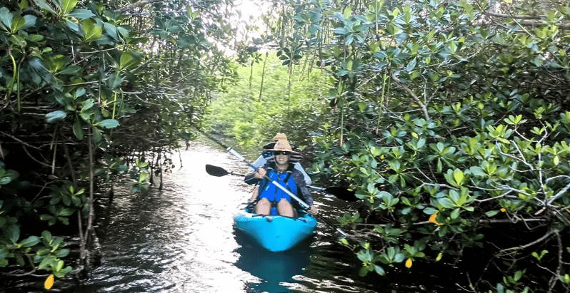 Cocoa Beach/Merritt Island: Guided Dolphin and Manatee Tour - The Sum Up