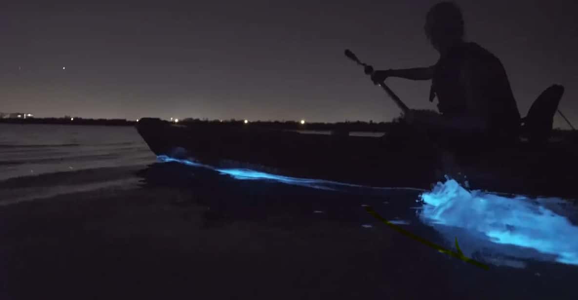 Cocoa Beach/Merritt Island:Bioluminescent kayak tour - The Itinerary: The Journey in Detail