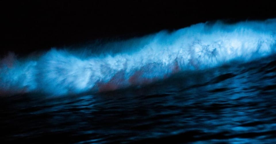 Cocoa Beach/Merritt Island:Bioluminescent kayak tour - Frequently Asked Questions