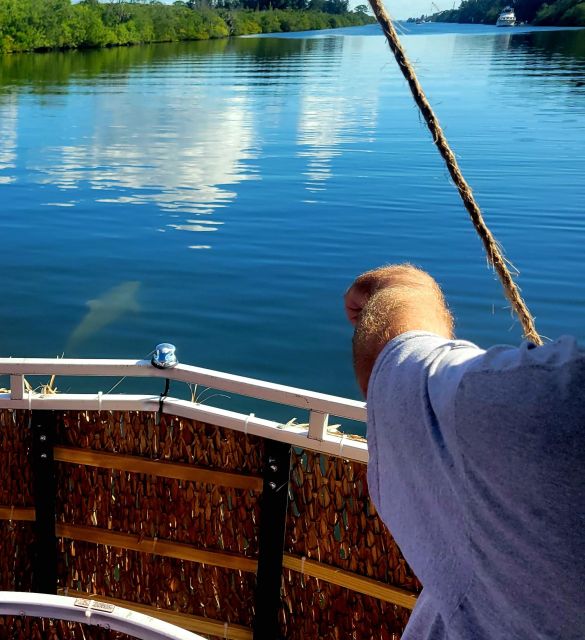 Cocoa Beach: Private 2-Hour Dolphin Sightseeing Tour - The Experience in Detail
