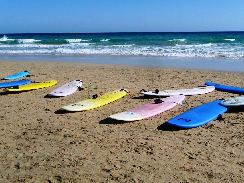 Cocoa Beach: Surfboard Rental - Practical Tips and Considerations