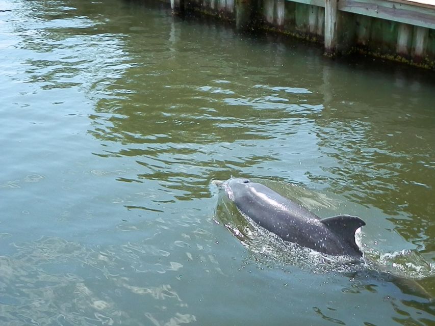 Cocoa Beach: Thousand Islands Banana River Boat Cruise - Who Should Consider This Tour?
