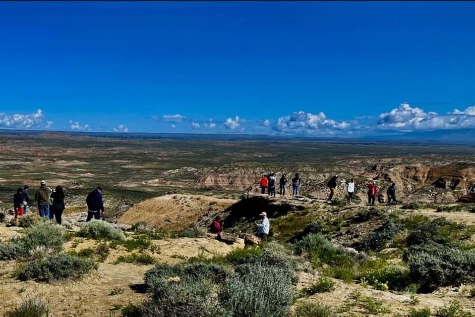 Cody: Red Canyon Wild Mustang Tour - A Closer Look at What to Expect