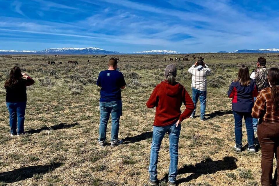 Cody: Red Canyon Wild Mustang Tour - Practical Tips for a Great Experience