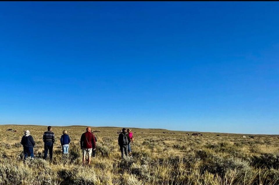 Cody: Red Canyon Wild Mustang Tour - FAQ