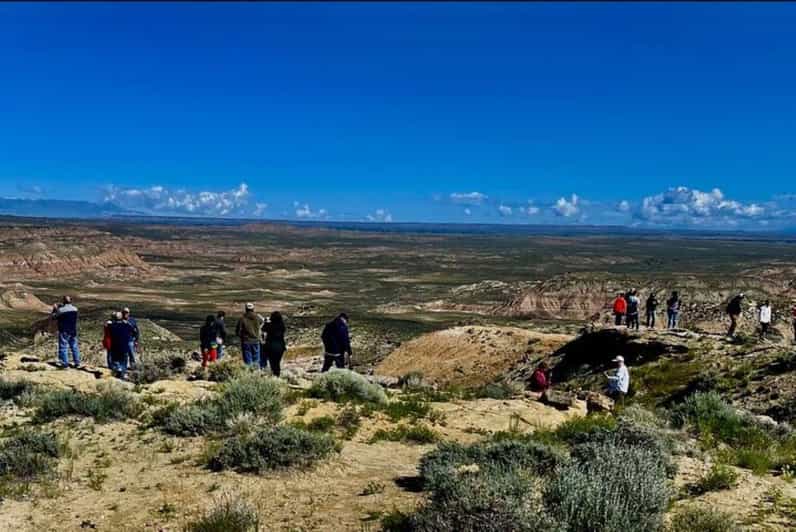 Cody: Wild Mustang Small Group Eco Tour - Who Should Consider This Tour?