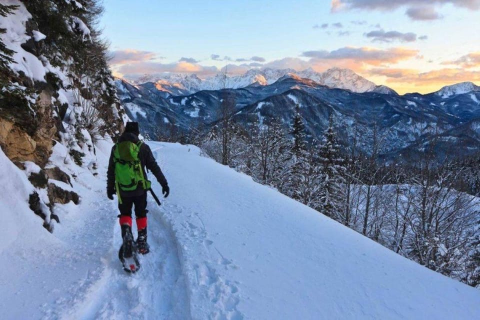 Colorado Backcountry: Guided Snowshoe Tour - Key Points
