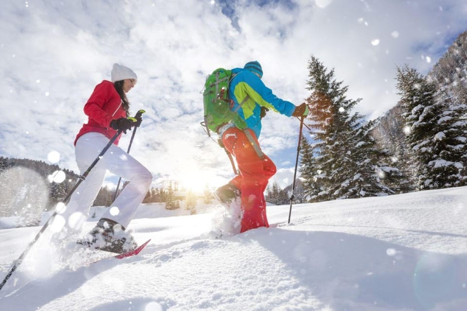 Colorado Backcountry: Guided Snowshoe Tour - An Overview of the Tour Experience