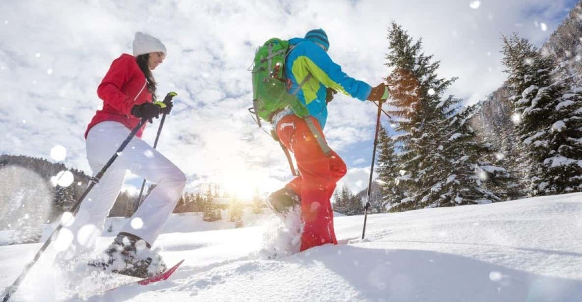 Colorado Backcountry: Guided Snowshoe Tour - The Itinerary: What to Expect
